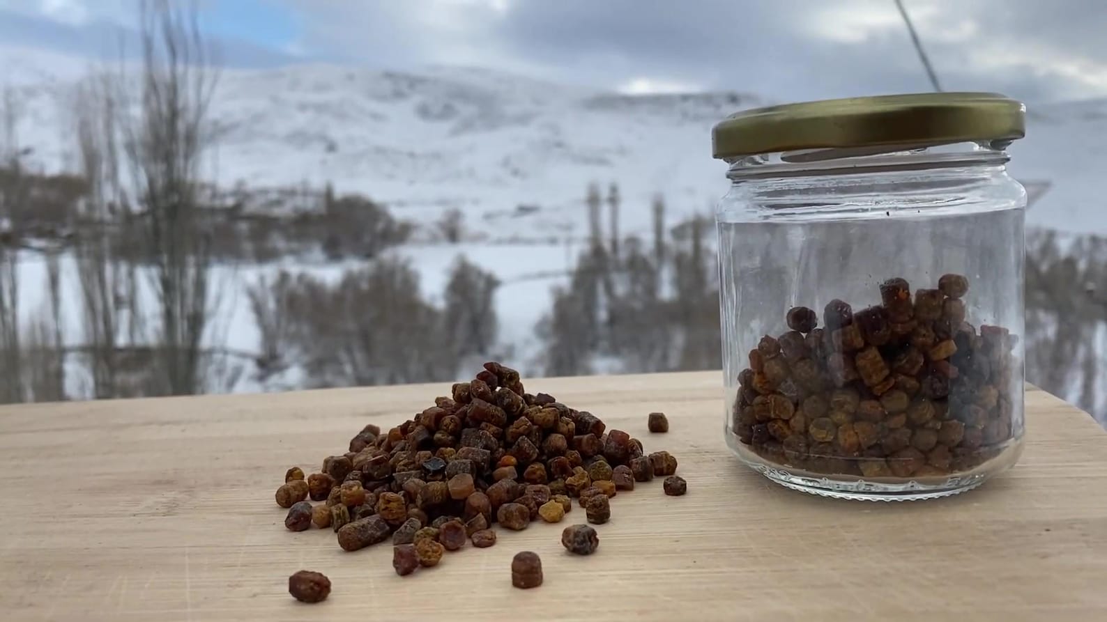 100% Natural Fresh Bee Bread – 100g Fermented Pollen, Turkish Pollen ...