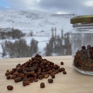 100% Natural Fresh Bee Bread – 100g Fermented Pollen, Turkish Pollen ...