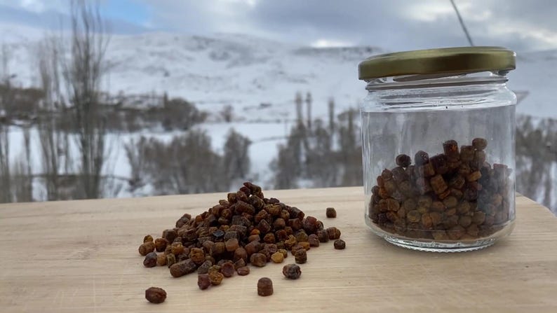 100% Natural Fresh Bee Bread – 100g Fermented Pollen, Turkish Pollen ...