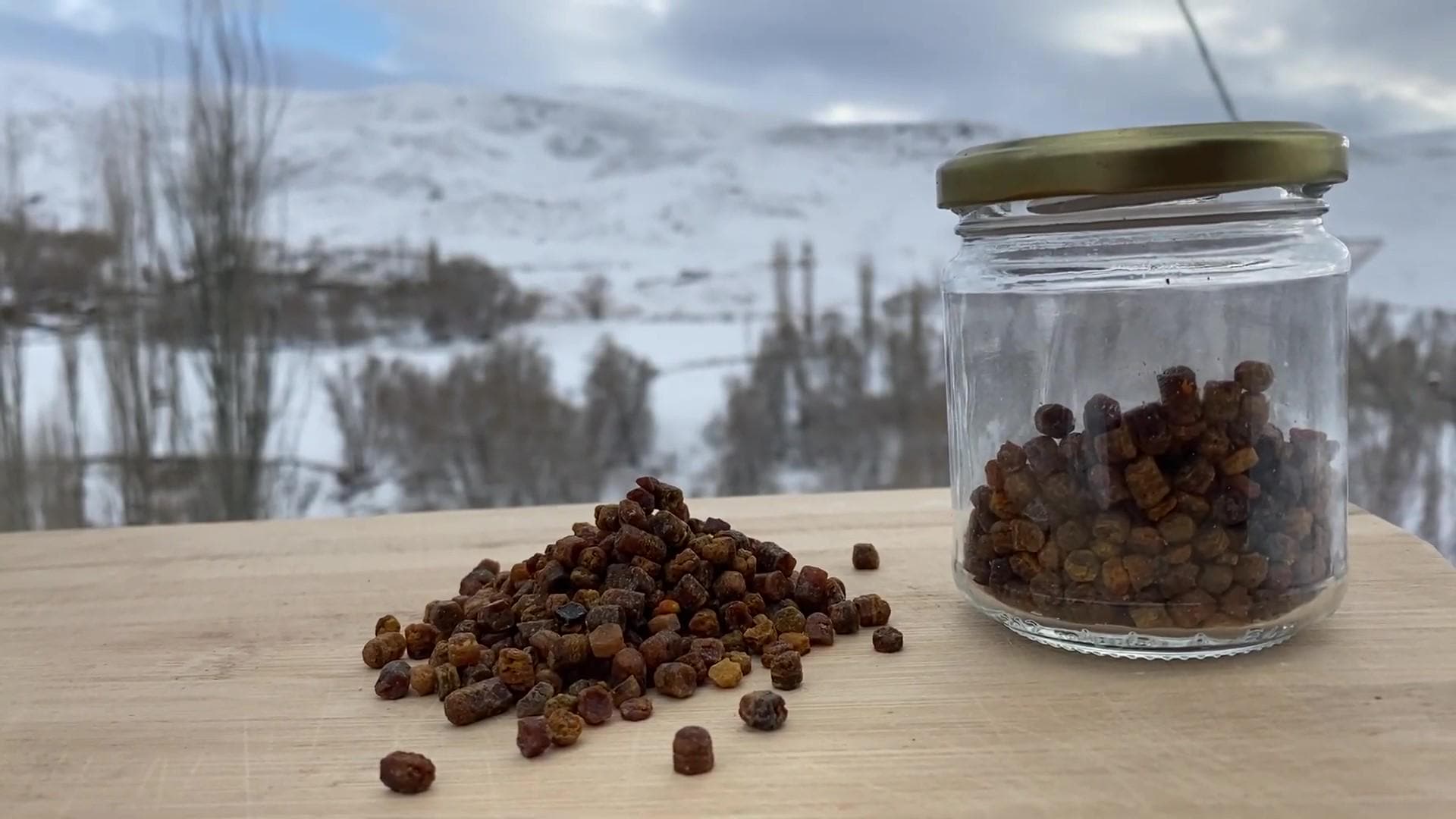 100% Natural Fresh Bee Bread – 100g Fermented Pollen, Turkish Pollen ...