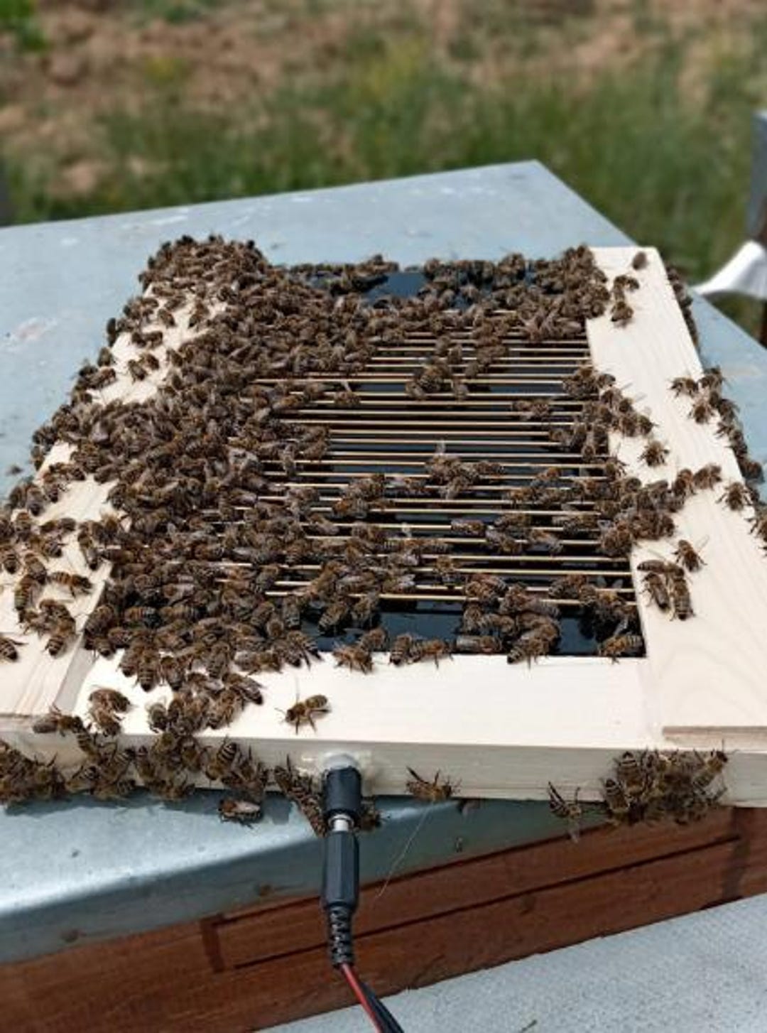 Complete Bee Venom Collector Set – Professional Beekeeping Equipment for Safe Venom Harvesting ...