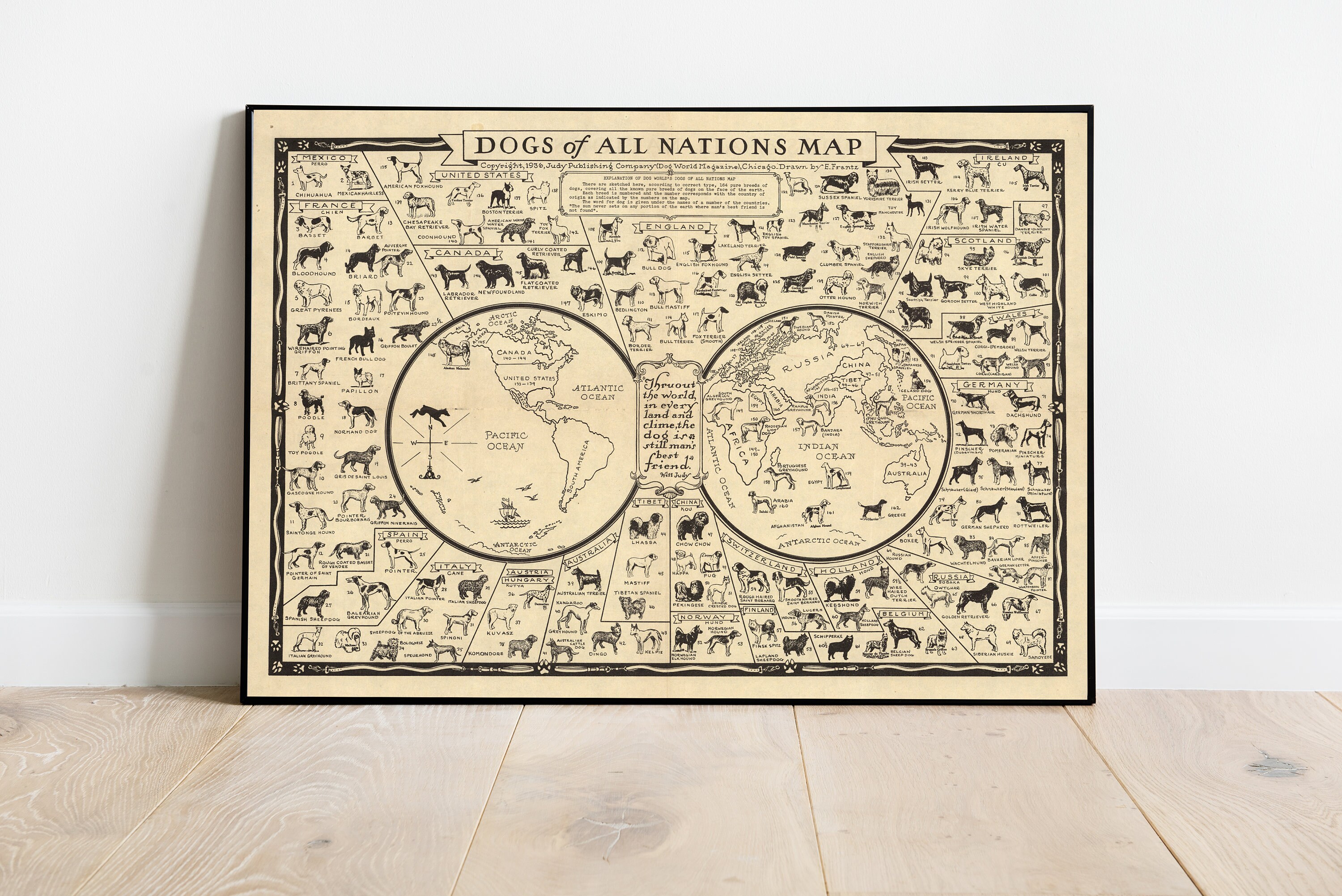 Old Dog Map, 1936 - World Atlas Chart of Breeds - Terrier, Bulldog, Pug ...