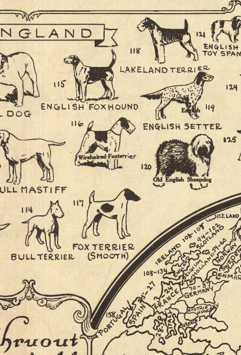 Old Dog Map, 1936 - World Atlas Chart of Breeds - Terrier, Bulldog, Pug ...