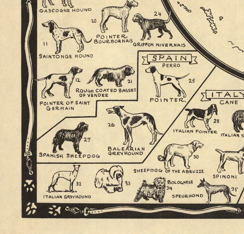 Old Dog Map, 1936 - World Atlas Chart of Breeds - Terrier, Bulldog, Pug ...