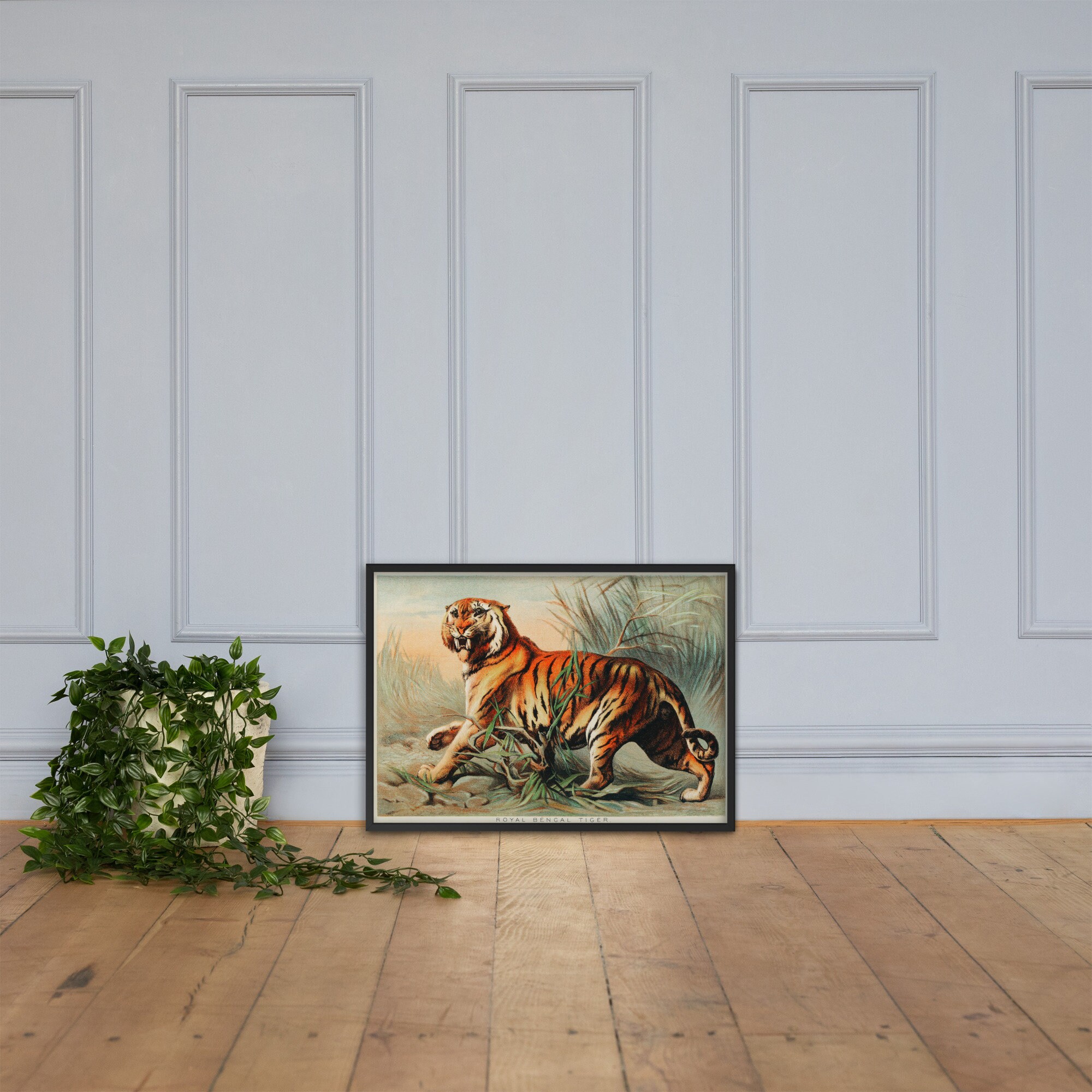 Bengal Tiger Print, Antique Bird Painting, Vintage Drawing Poster Wall ...