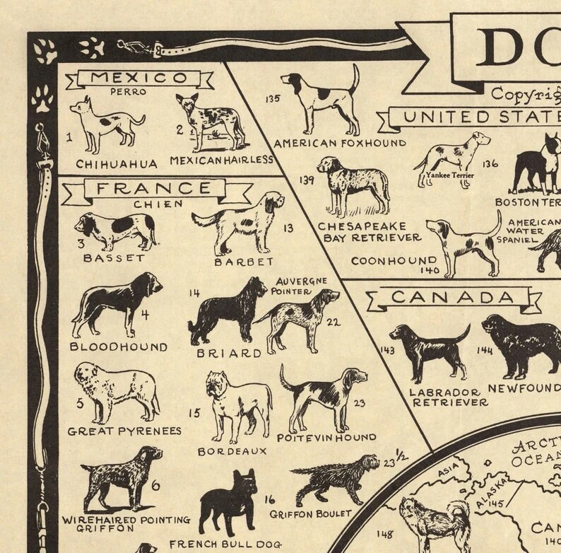 Old Dog Map, 1936 - World Atlas Chart of Breeds - Terrier, Bulldog, Pug ...