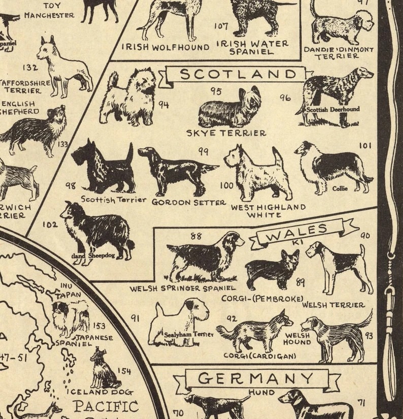 Old Dog Map, 1936 - World Atlas Chart of Breeds - Terrier, Bulldog, Pug ...