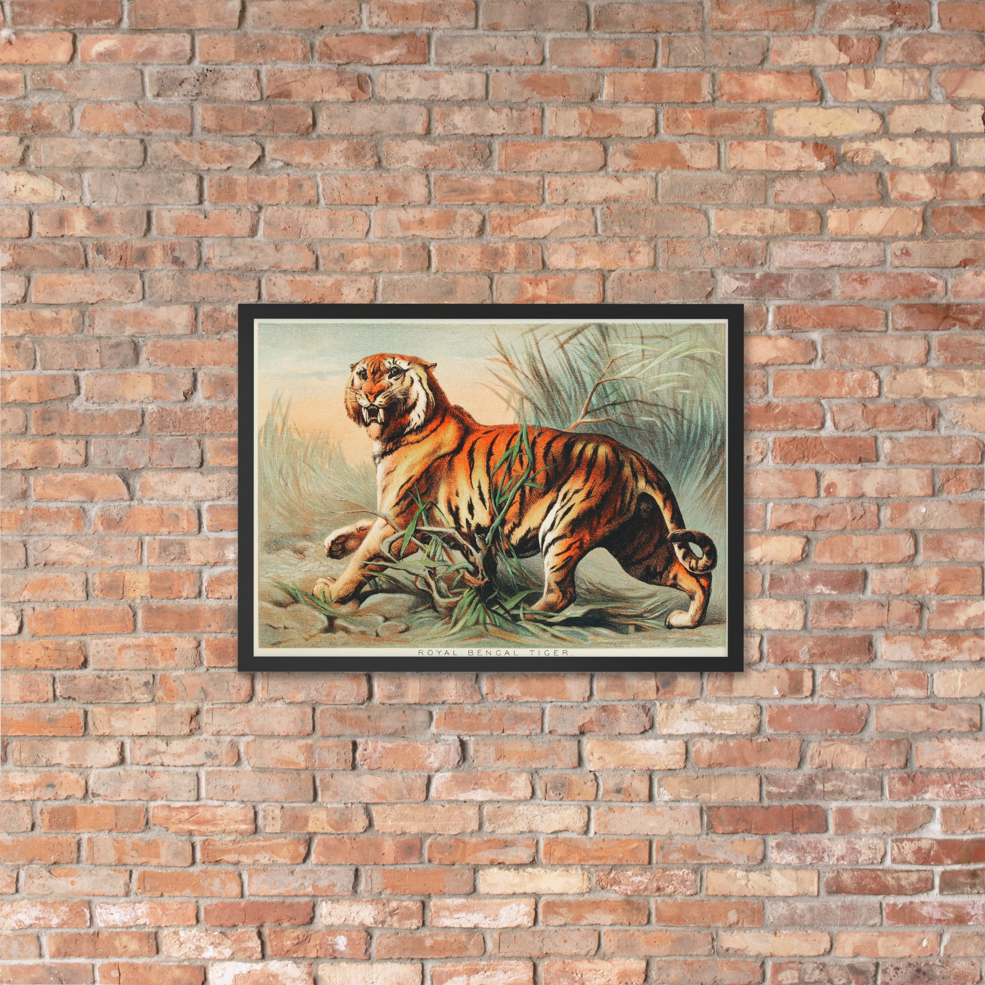 Bengal Tiger Print, Antique Bird Painting, Vintage Drawing Poster Wall ...