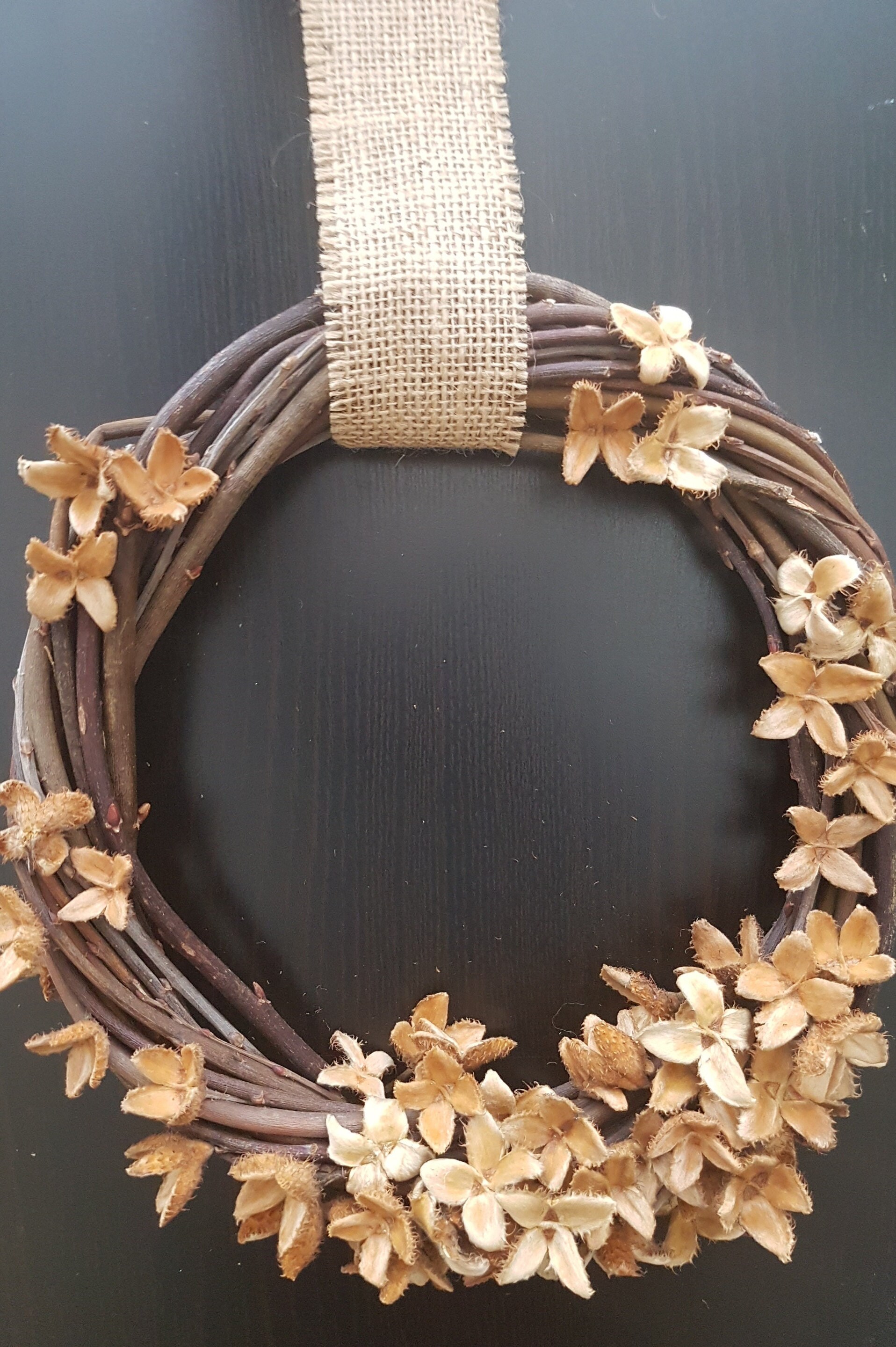 100 Beech Tree Seeds Nut Pods Natural Wreath Decoration - Etsy