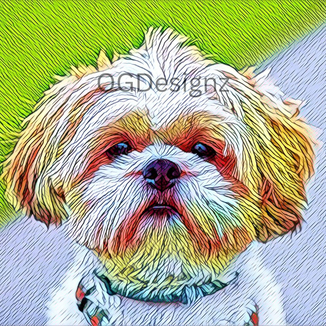 Shih Tzu Dog Wall Art, Shih Tzu Art Print, Animal Art for Animal Lovers ...