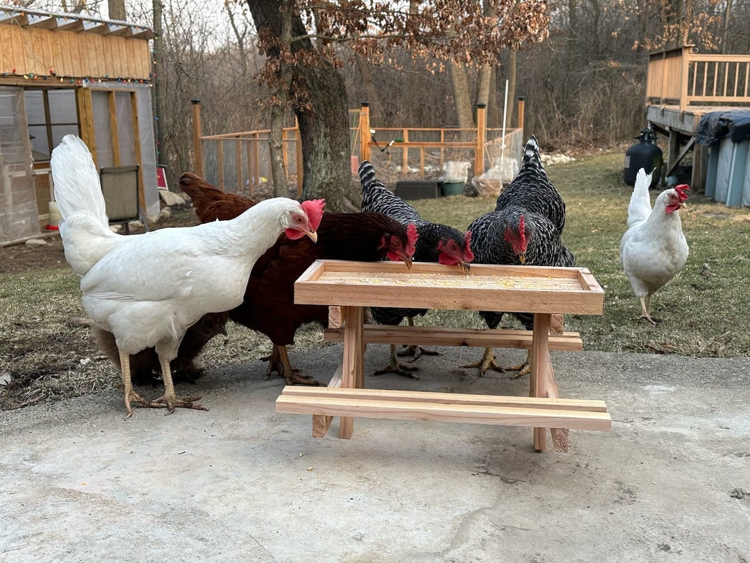 Chick-nic Table Instructions - Etsy