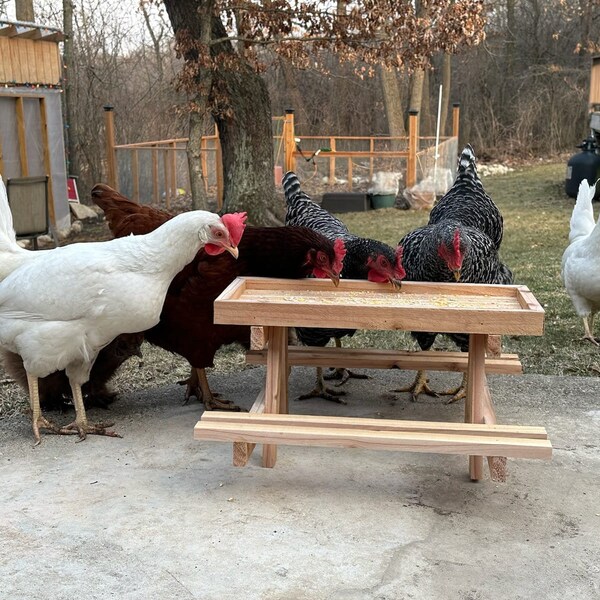 Chicknic Table - Etsy