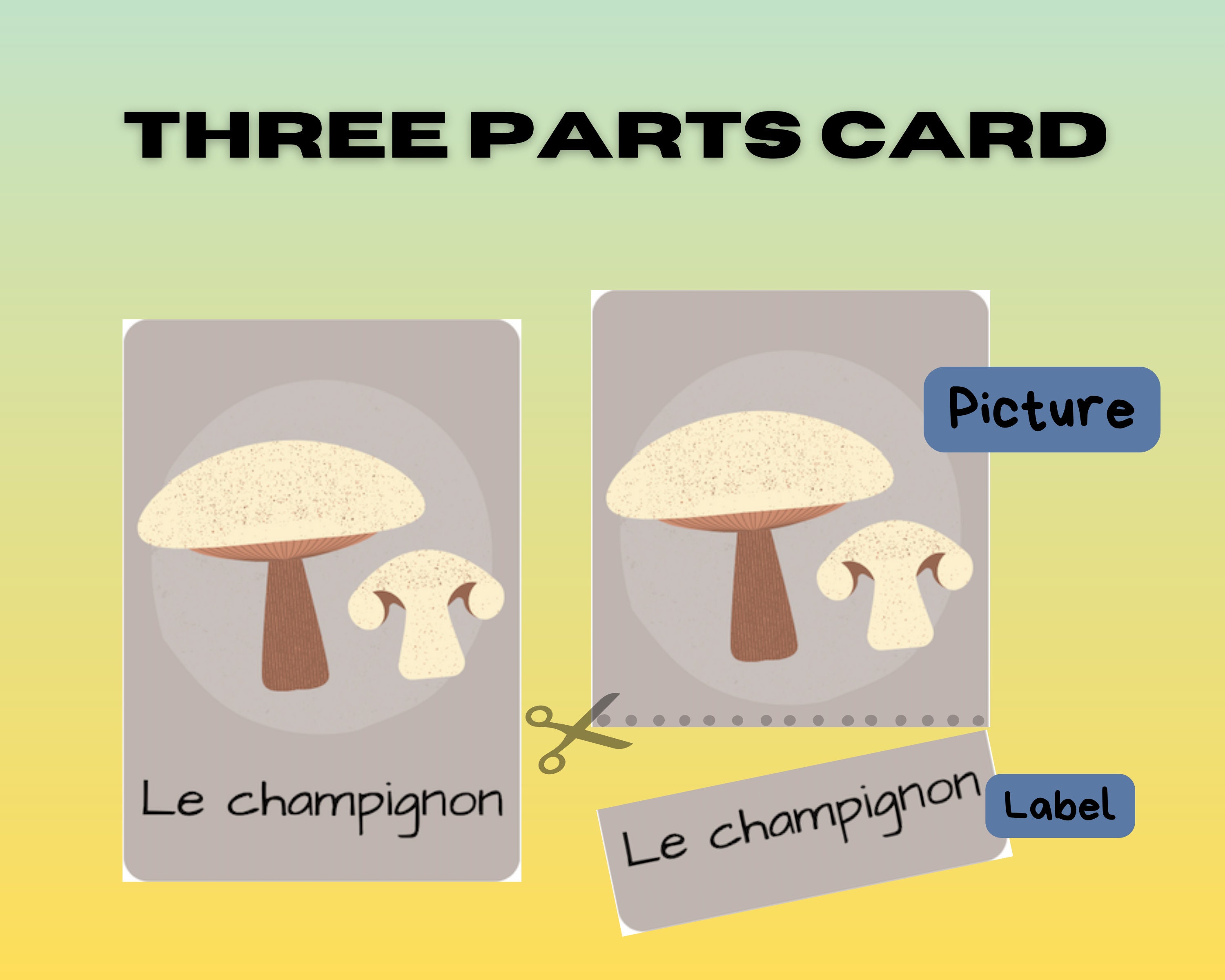 France Flashcards French Flash Cards Fruits and Vegetables Montessori ...