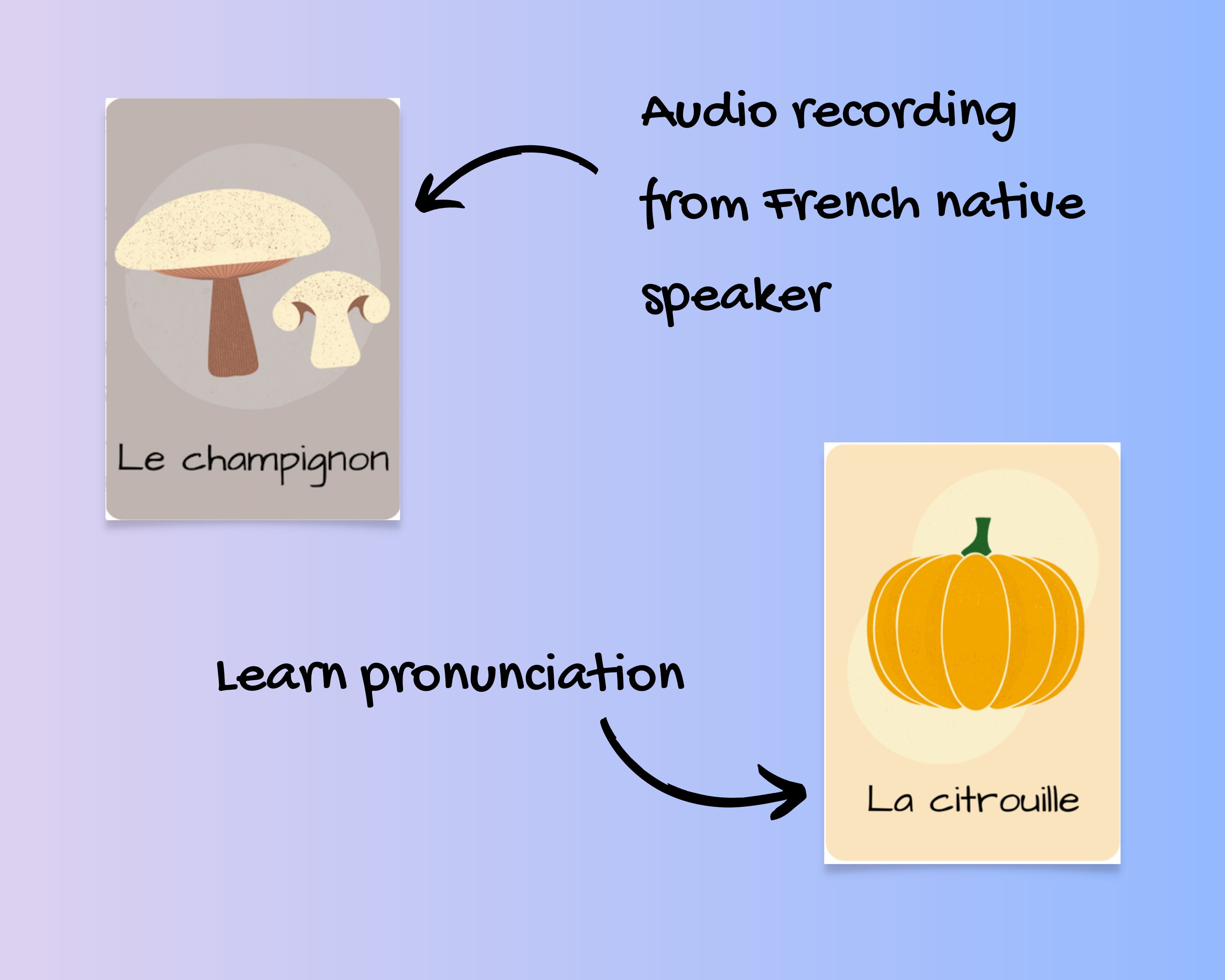 France Flashcards Bundle Clothes French Cards Food Fruits Vegetables ...