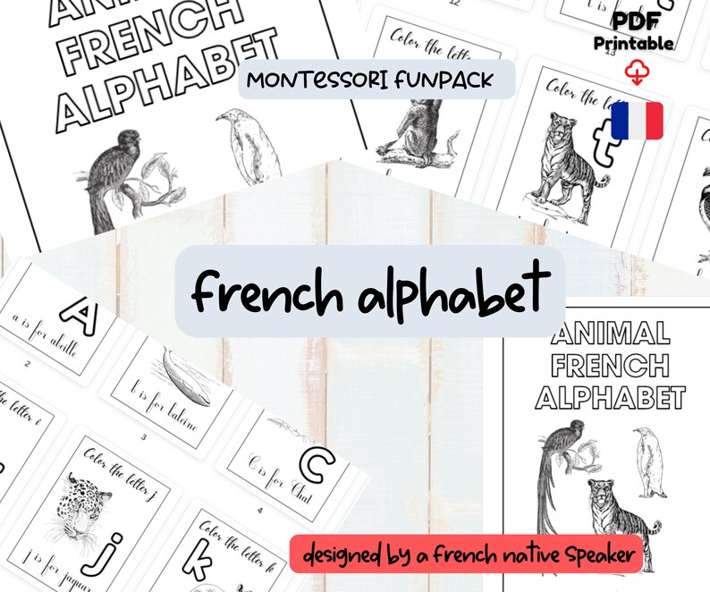 French Activity Workbook Printables Bundle France Flashcards Tracing ...