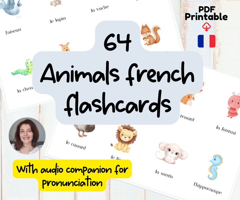France Flashcards Bundle Clothes French Cards Food Fruits Vegetables ...