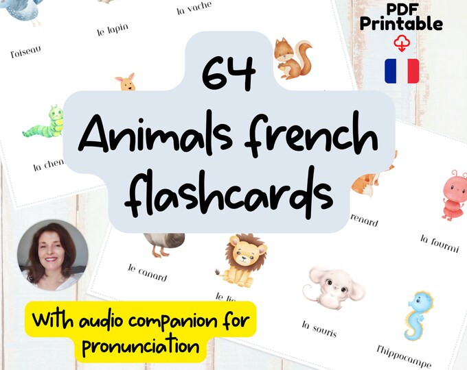 French Laminated Flash Cards | Handmade Flash Cards | Laminated Three ...