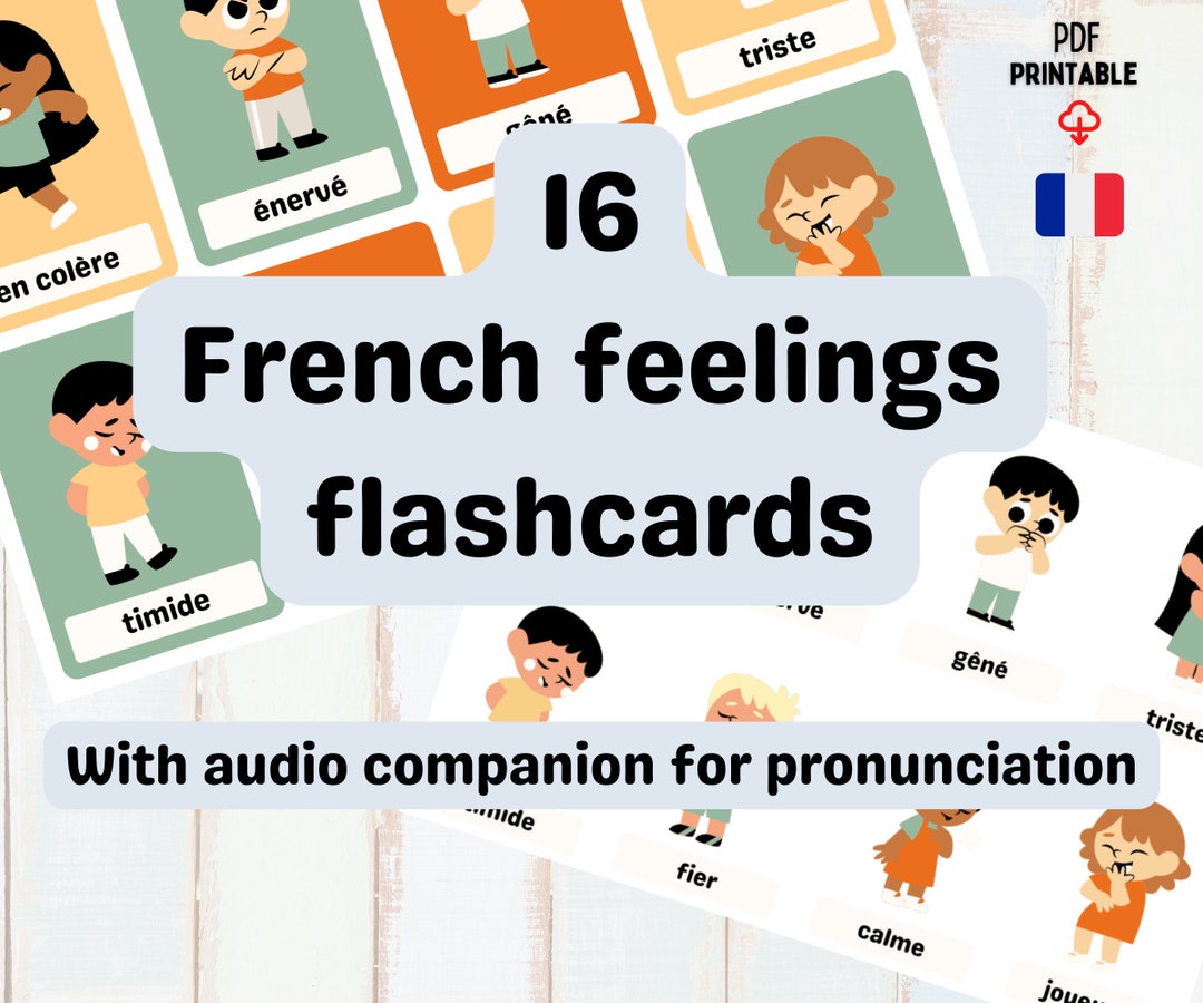 France Flashcards French Flash Cards Montessori Learning Toddlers Kids ...