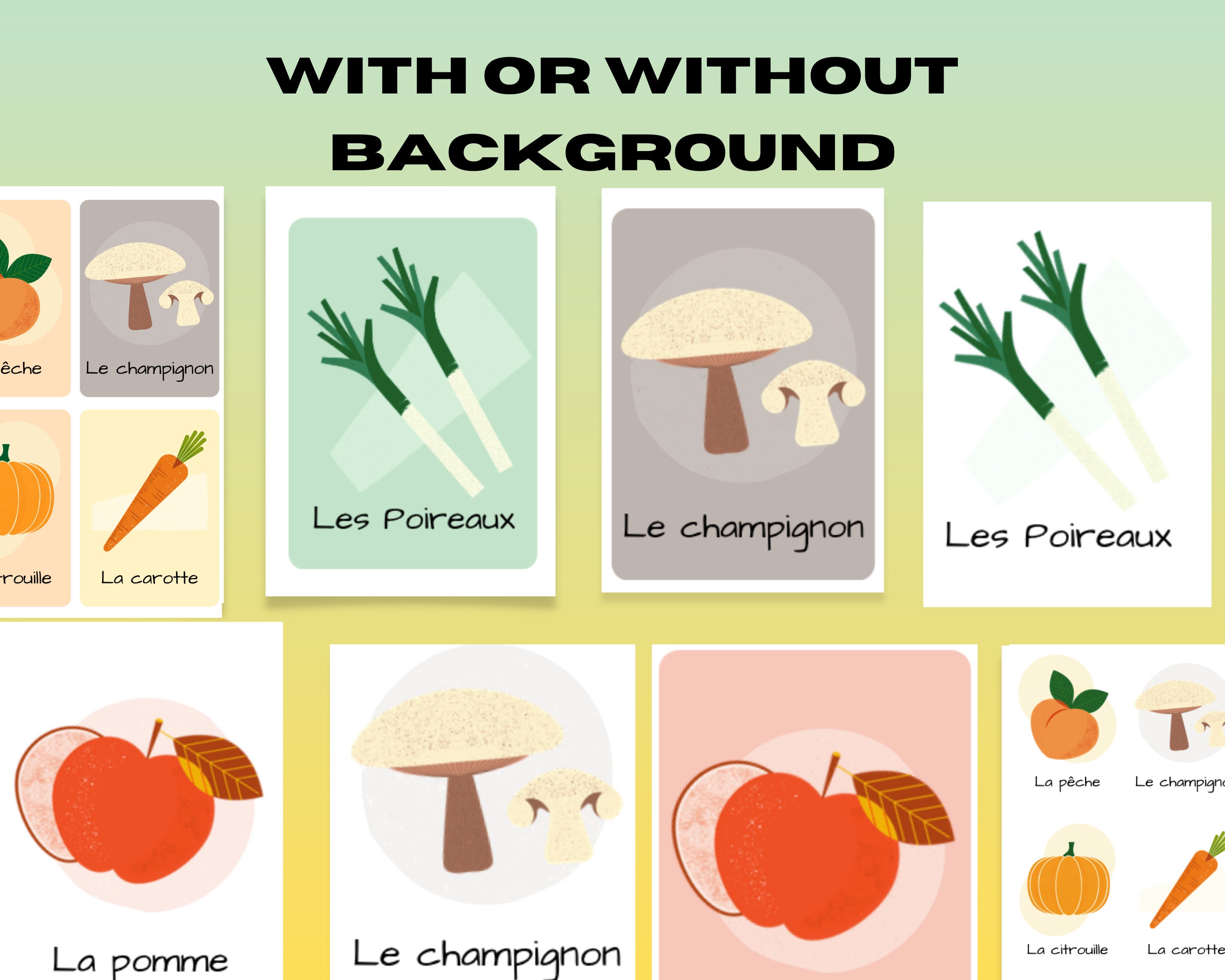 France Flashcards French Flash Cards Fruits and Vegetables Montessori ...