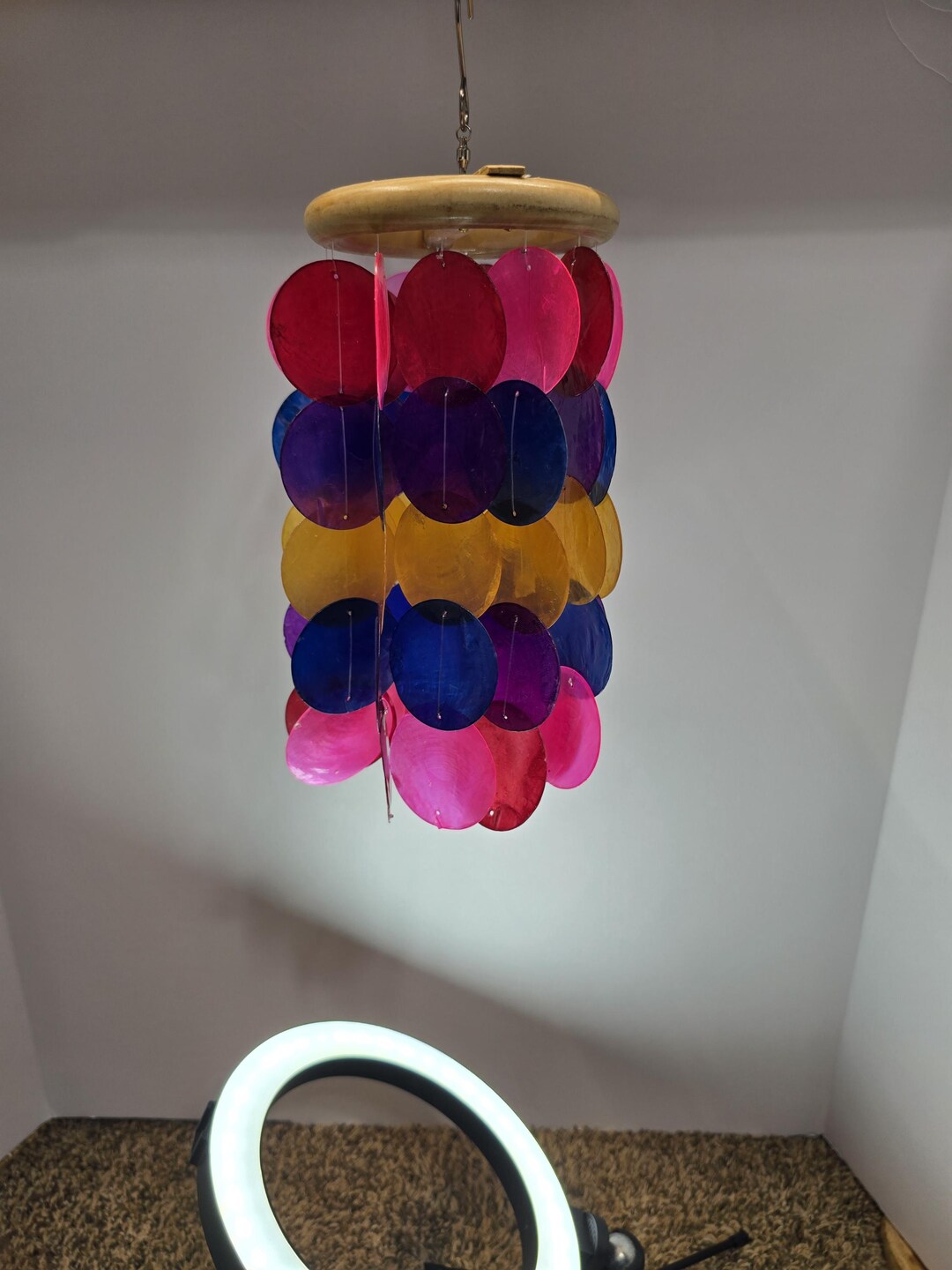 Dark Seashell Suncatcher - Etsy