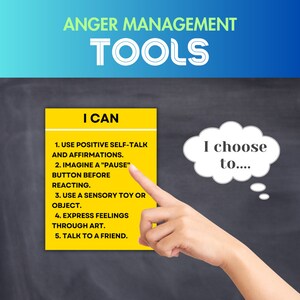 Emotional Regulation Visual Cards & Posters for Self Checkin - Etsy