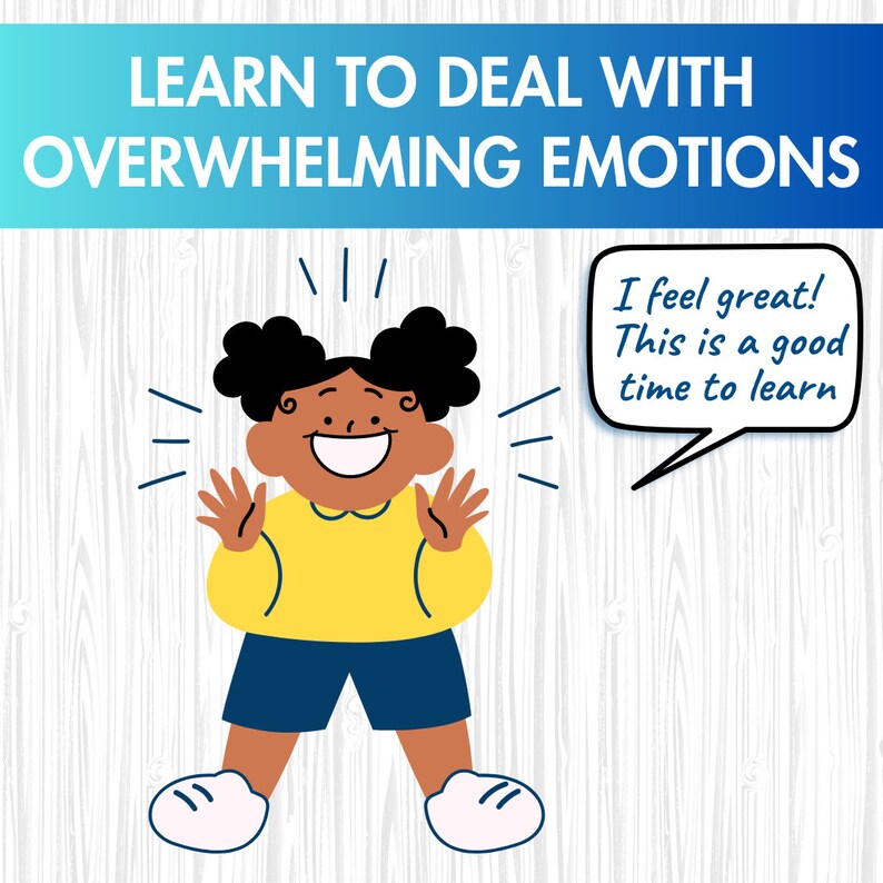 Emotional Regulation Visual Cards & Posters for Self Checkin - Etsy