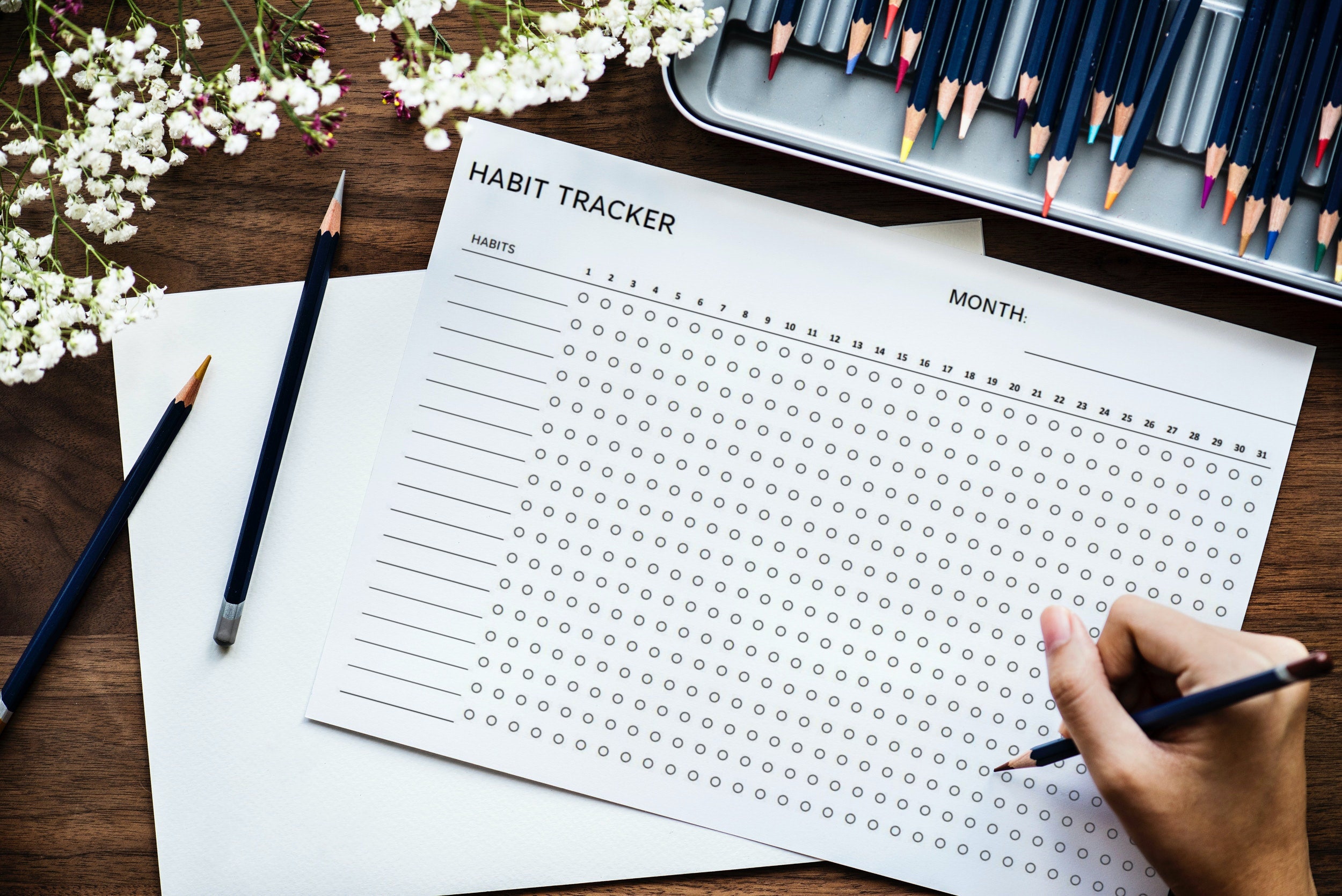 Printable Monthly Habit Tracker, Habit Tracking PDF, Habit Tracker ...