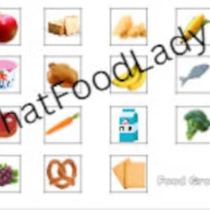 Food Group Sorting Activity - Etsy