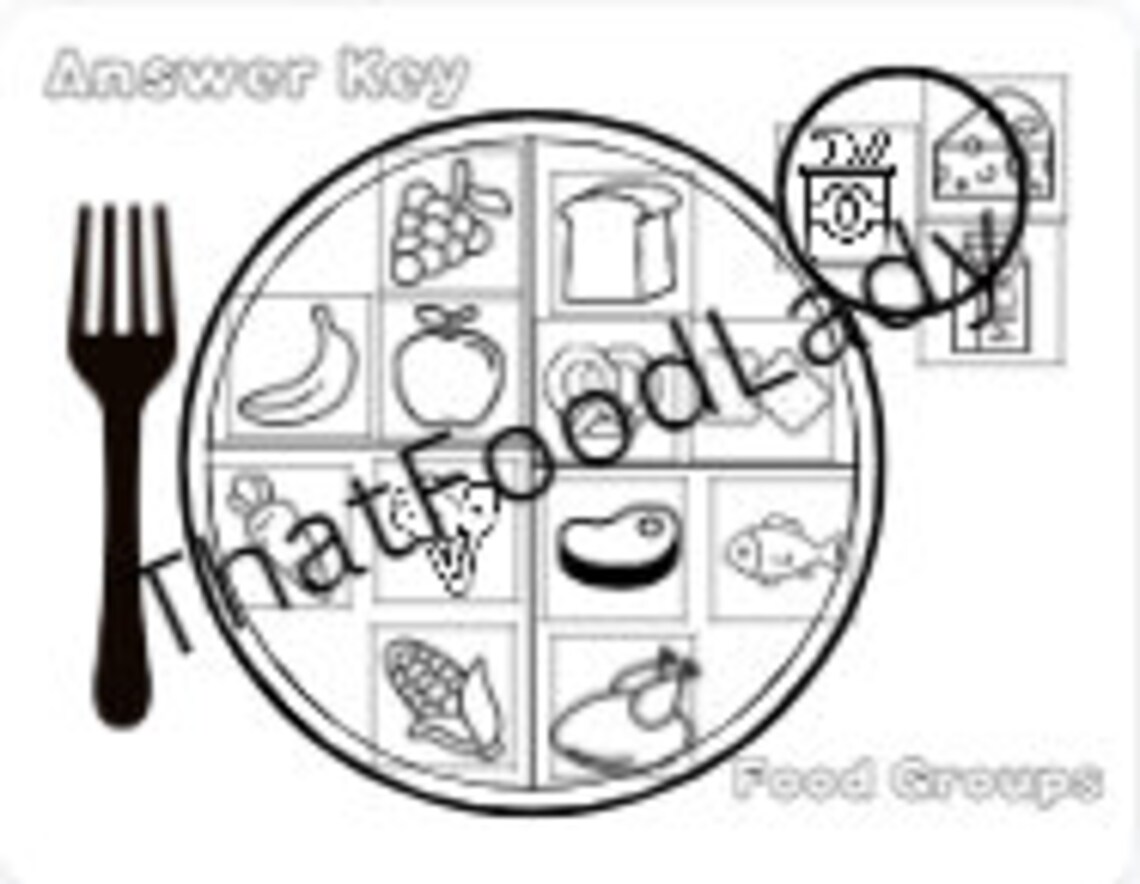Food Group Sorting Activity - Etsy