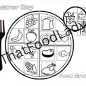 Food Group Sorting Activity - Etsy