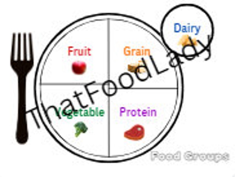 Food Group Sorting Activity - Etsy