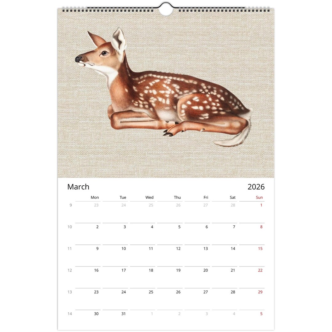 2026 Woodland Animals Calendar | Vintage Wildlife Art, 11x17 - Etsy