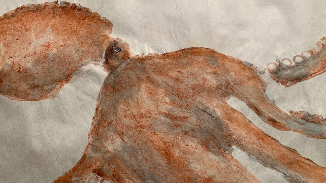 COLOR OCTOPUS GYOTAKU N 1153 Free Postage World and Usa This is Not a ...