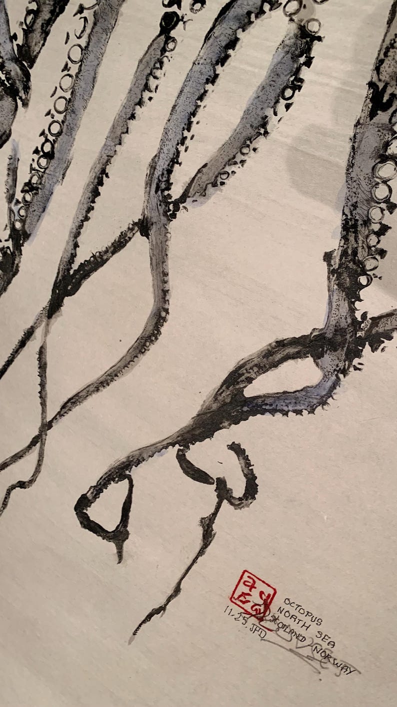 A 5675 BIG KRAKEN GYOTAKU This is True Art Not a Digital Copy - Etsy