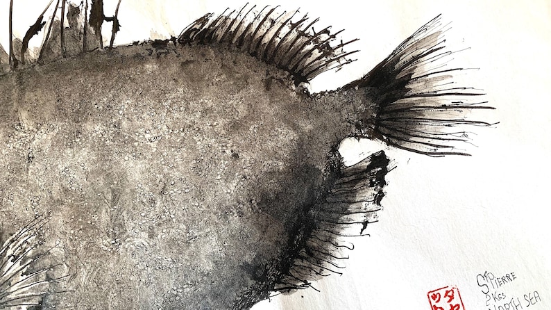 N:7896 HUGE JOHN DORY This Gyotaku is Real Art Hand Made - Etsy