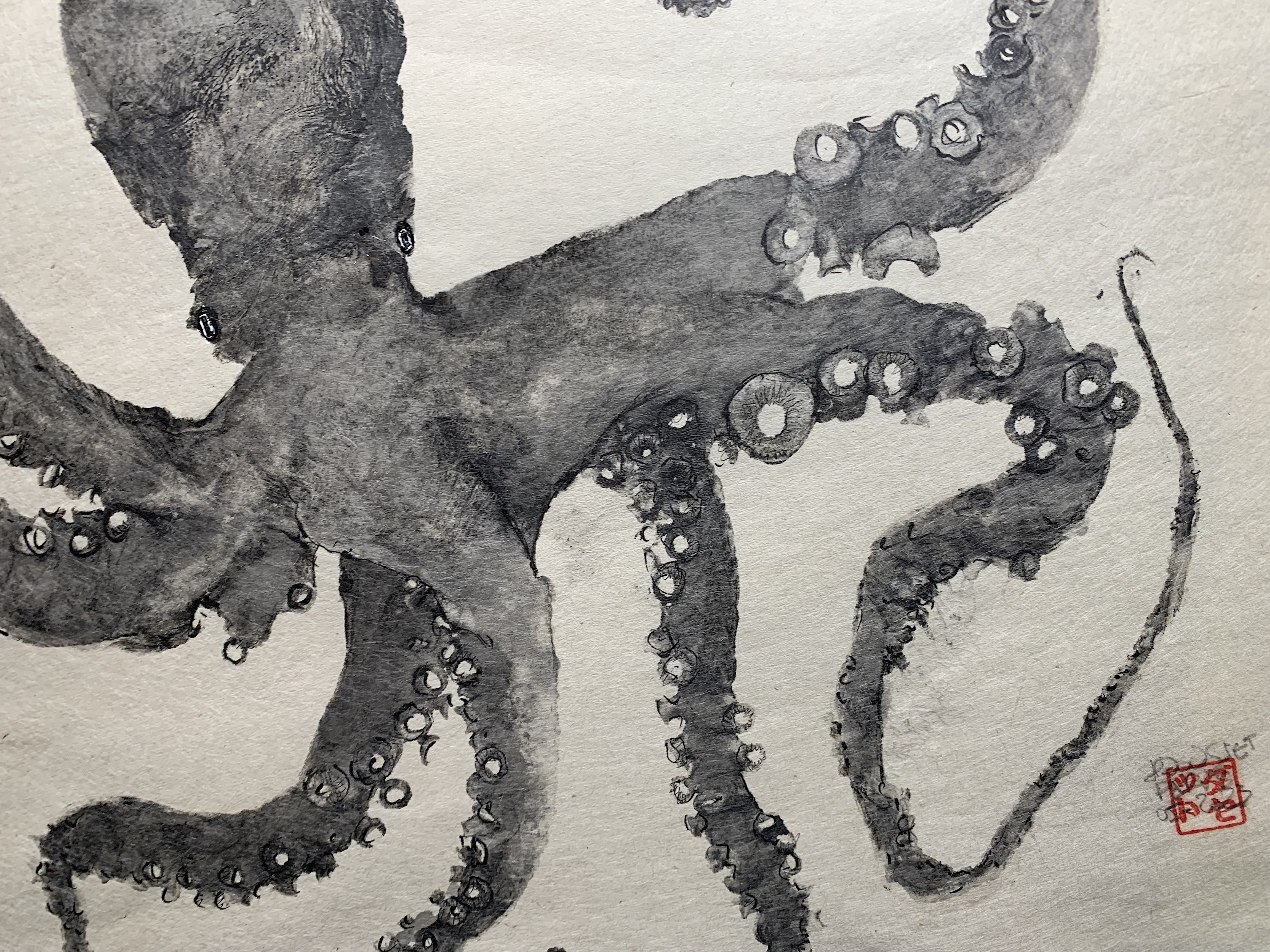 RARE GYOTAKU OCTOPUS - Etsy