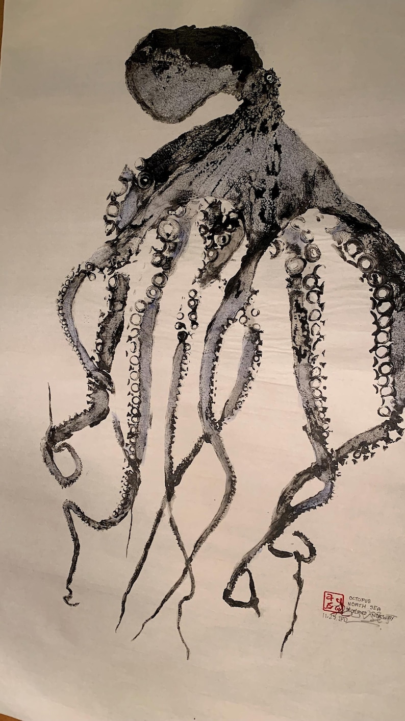 A 5675 BIG KRAKEN GYOTAKU This is True Art Not a Digital Copy - Etsy