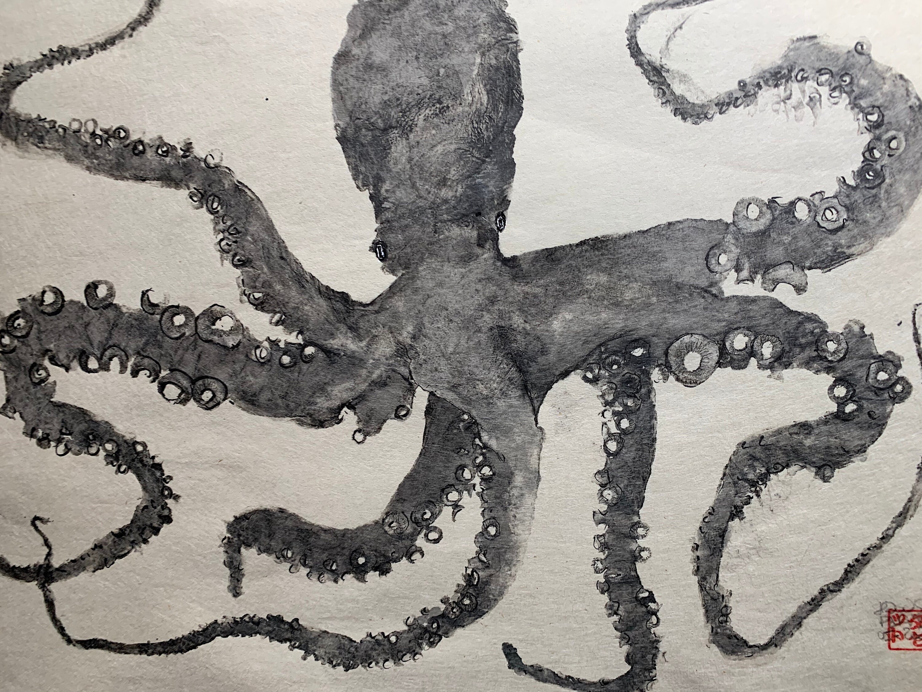 RARE GYOTAKU OCTOPUS - Etsy