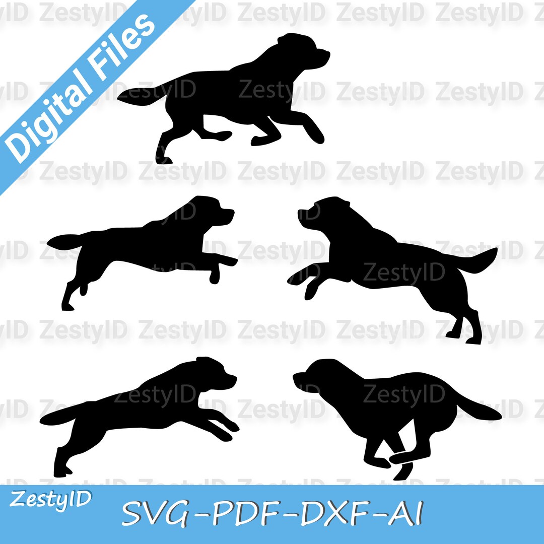 Playful Labrador Silhouette SVG Clipart Jumping Labrador Digital Cut ...