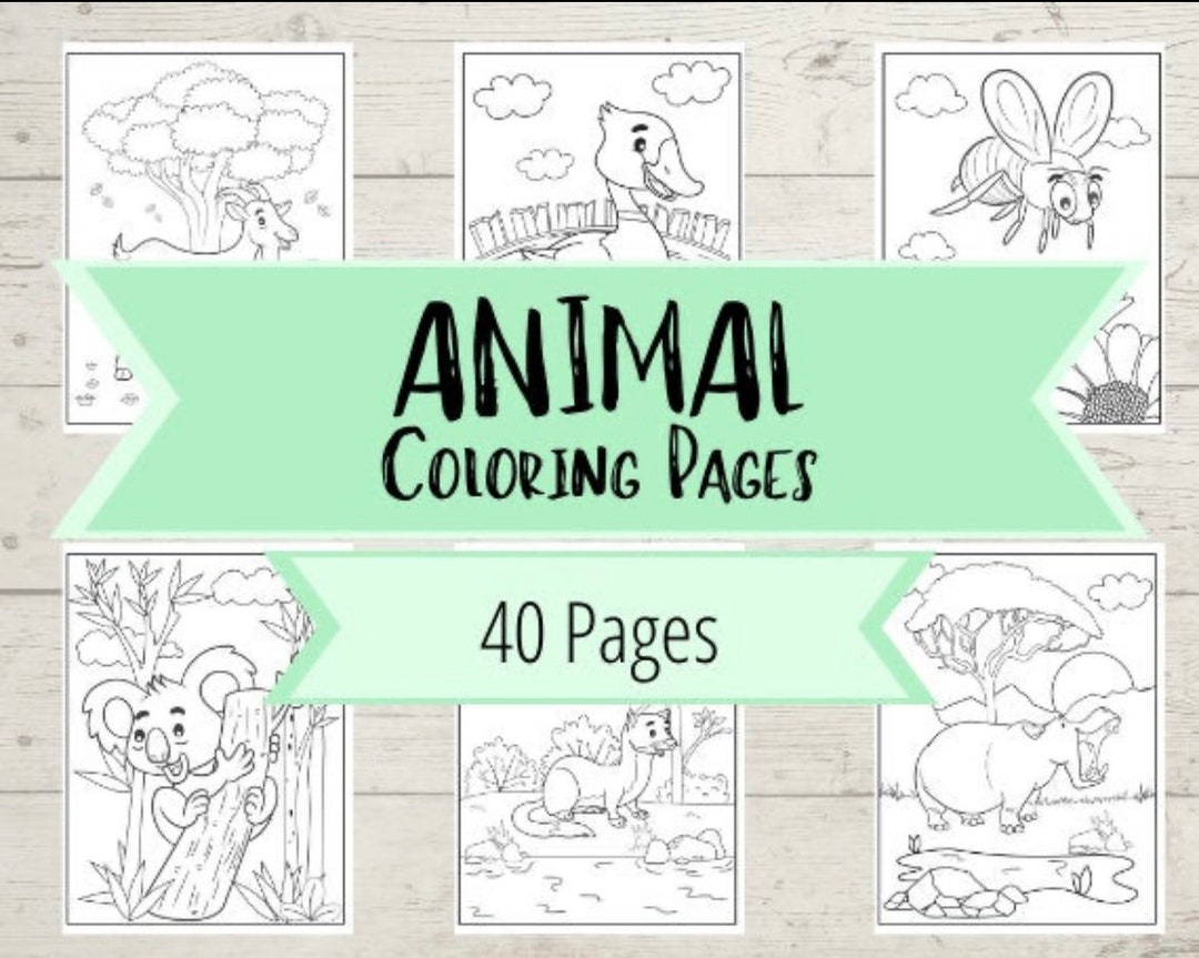 40 Page Animal Coloring Book - Etsy