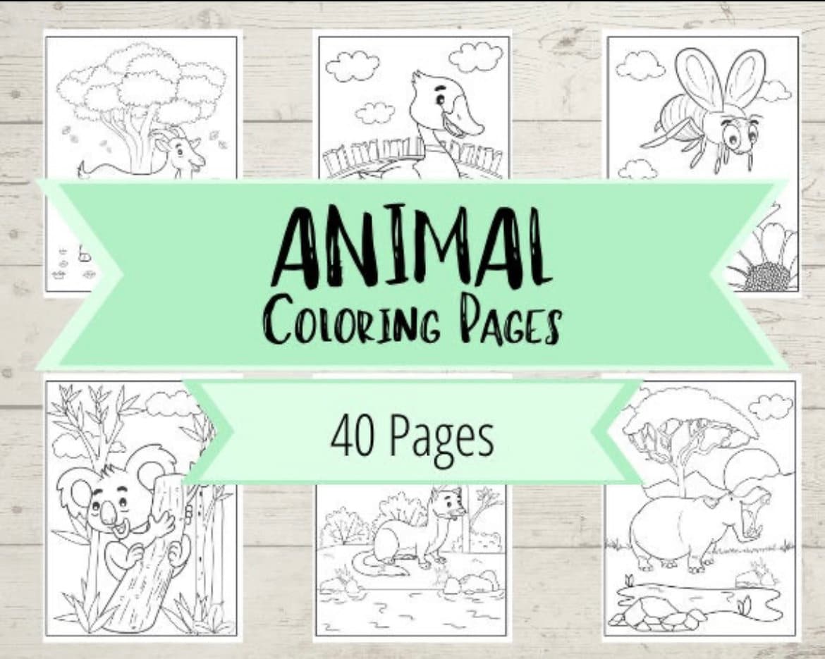 40 Page Animal Coloring Book - Etsy