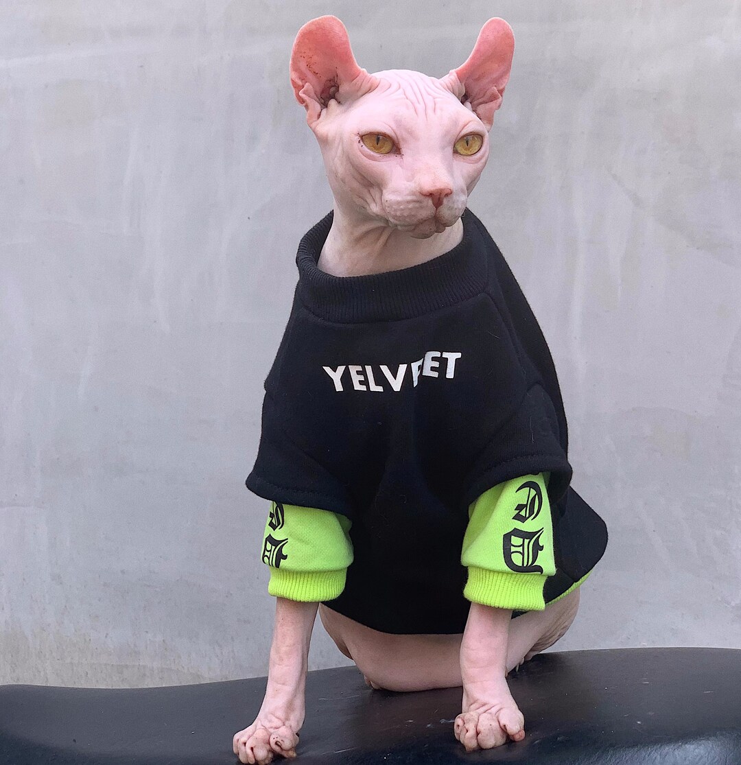 Sphynx Hairless Cats Clothes Winter Warm Hoodie for Bambino - Etsy