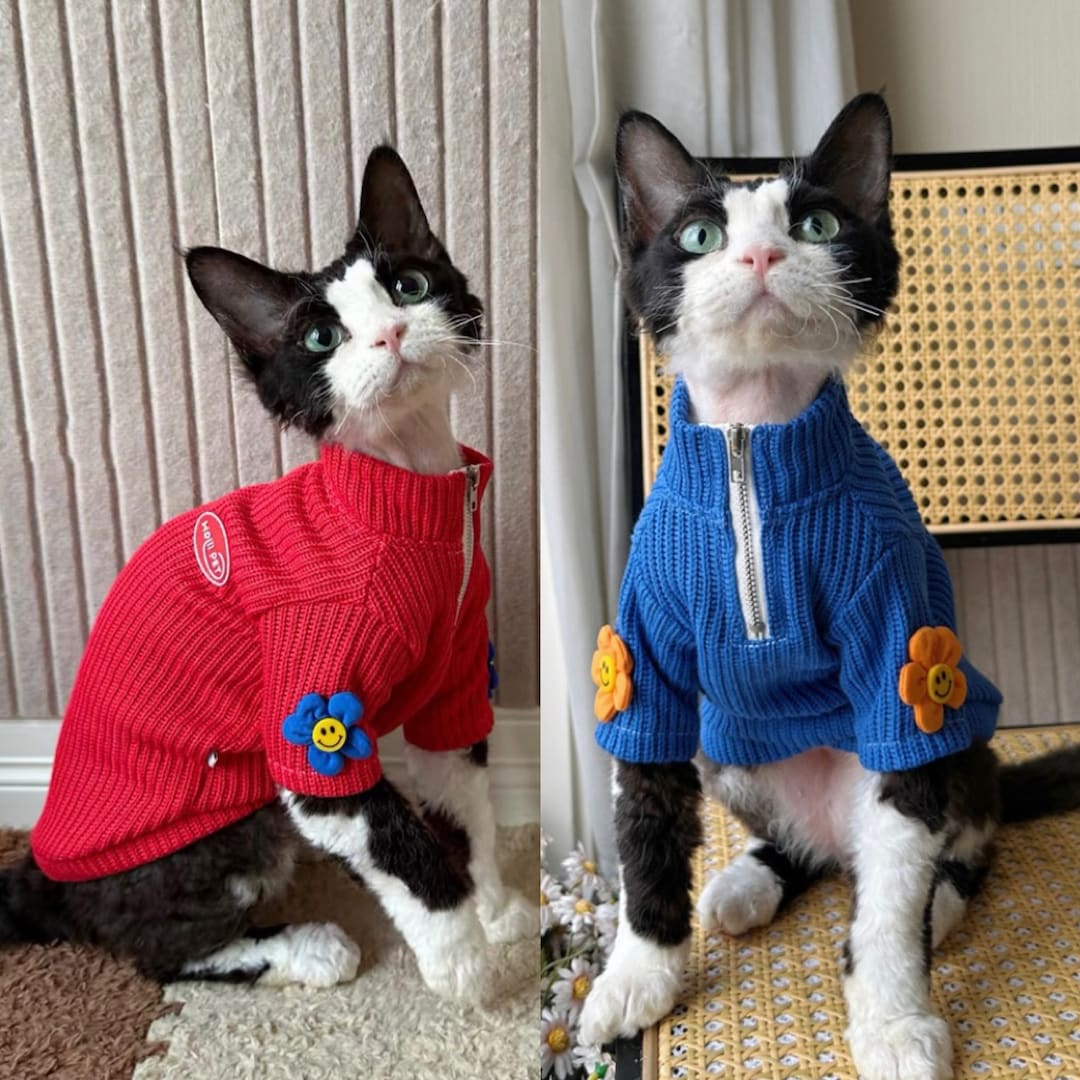 Sphynx Hairless Cats Zipper Sweater Clothes, Soft Kitten Pullover ...