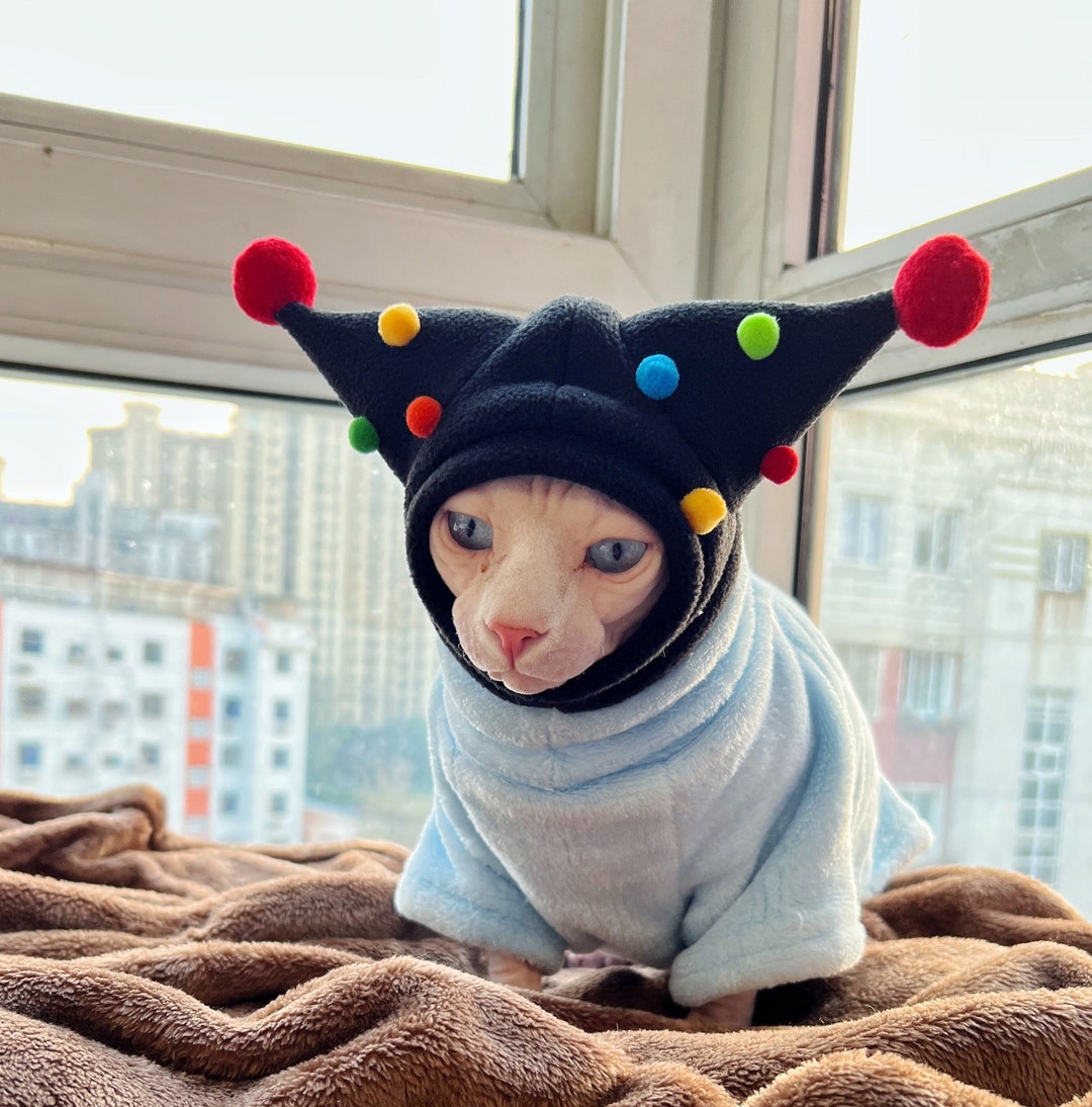 12 Colors Sphynx Hairless Cats Hat, Warm Kitten Bambino Devon Rex ...