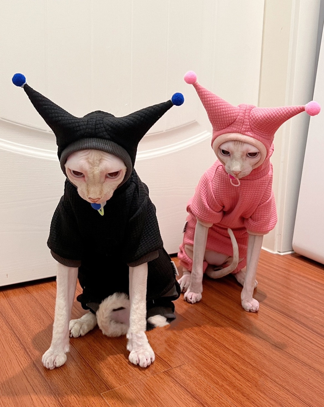 Sphynx Hairless Cats Clothes, Warm Kitten Sweatshirt in Winter, Bambino ...