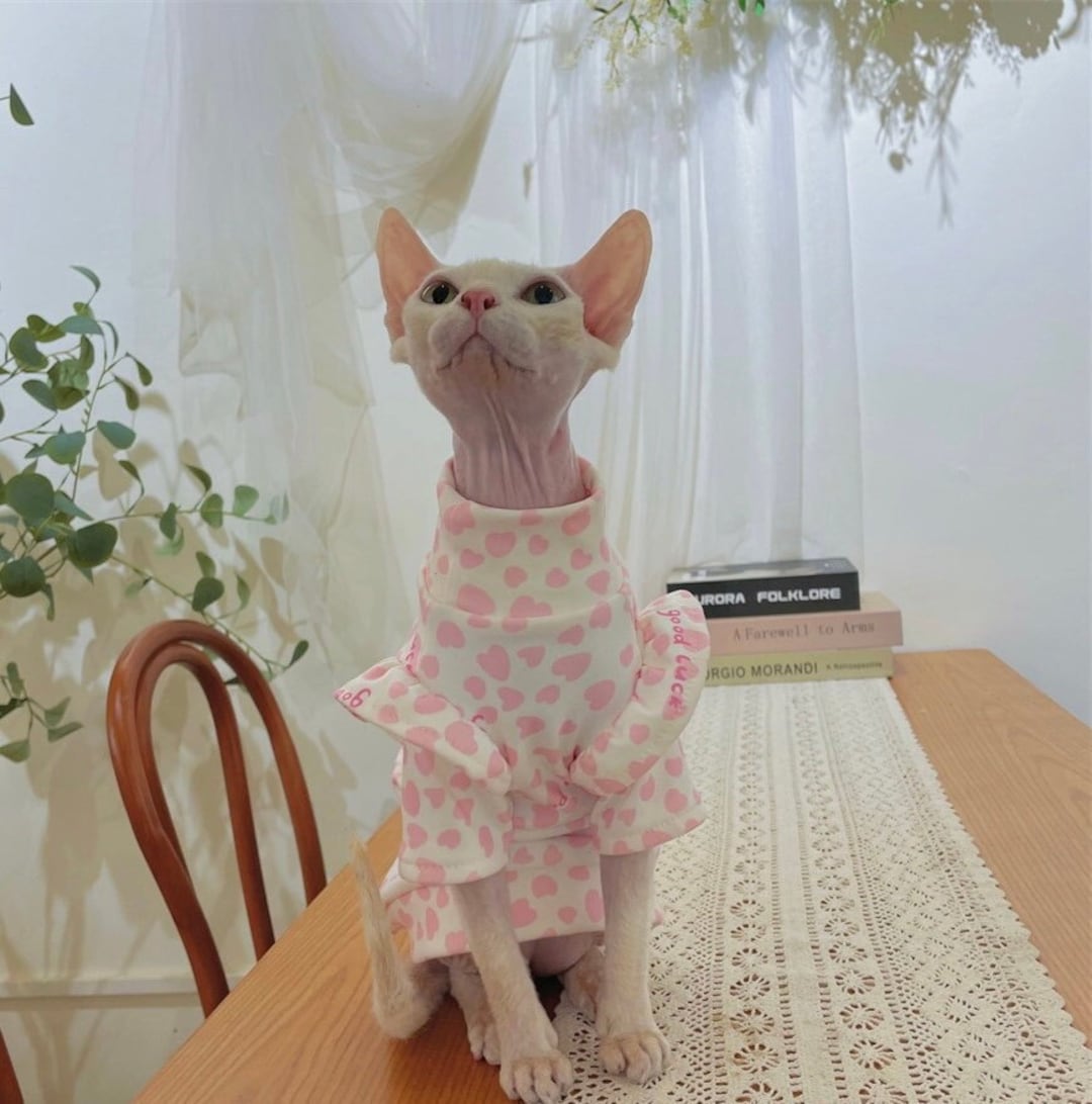 Sphynx Hairless Cats Clothes, Super Soft Kitten Pullover Sweatshirt ...