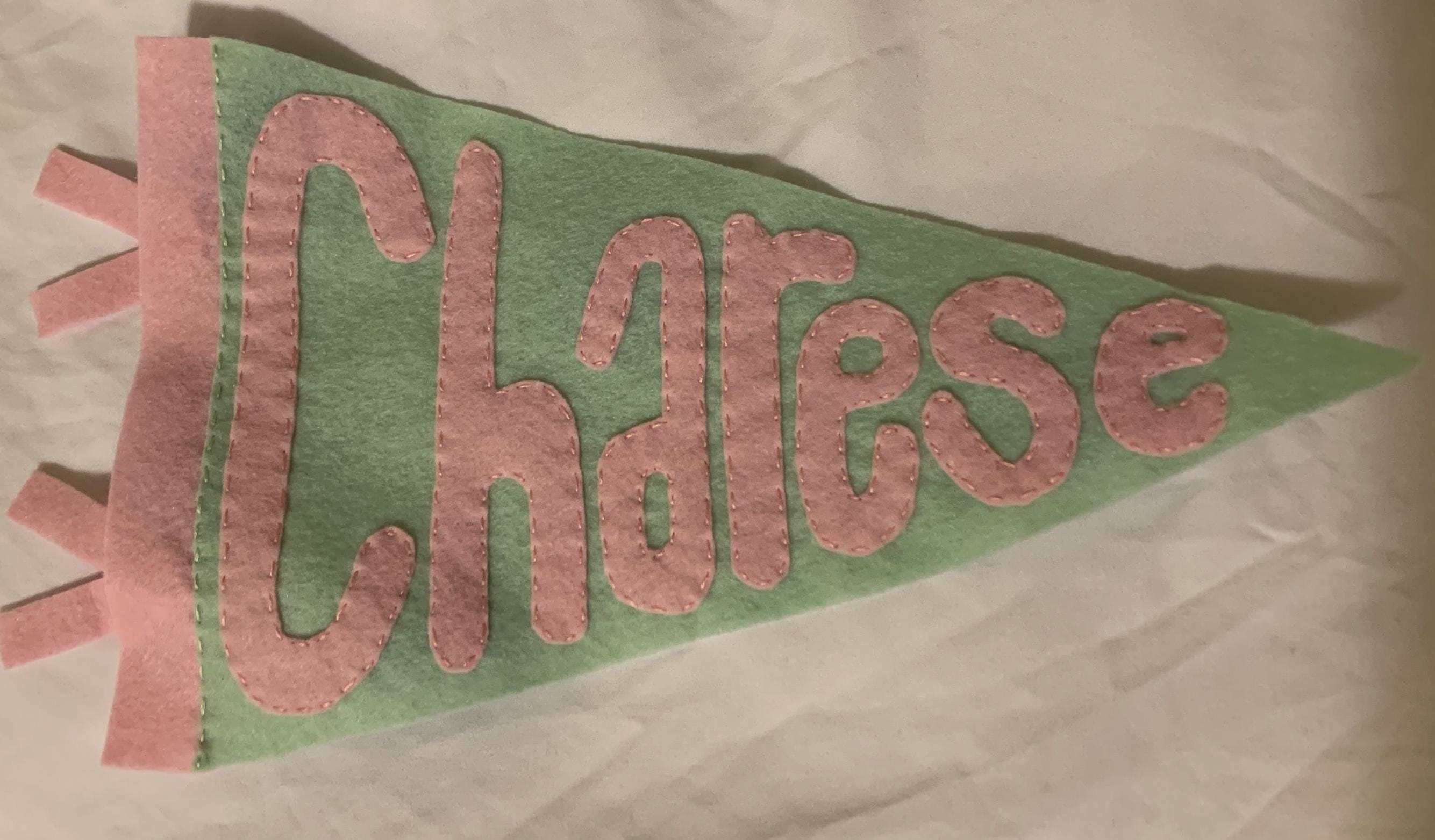 Personalized Name Pennant - Etsy