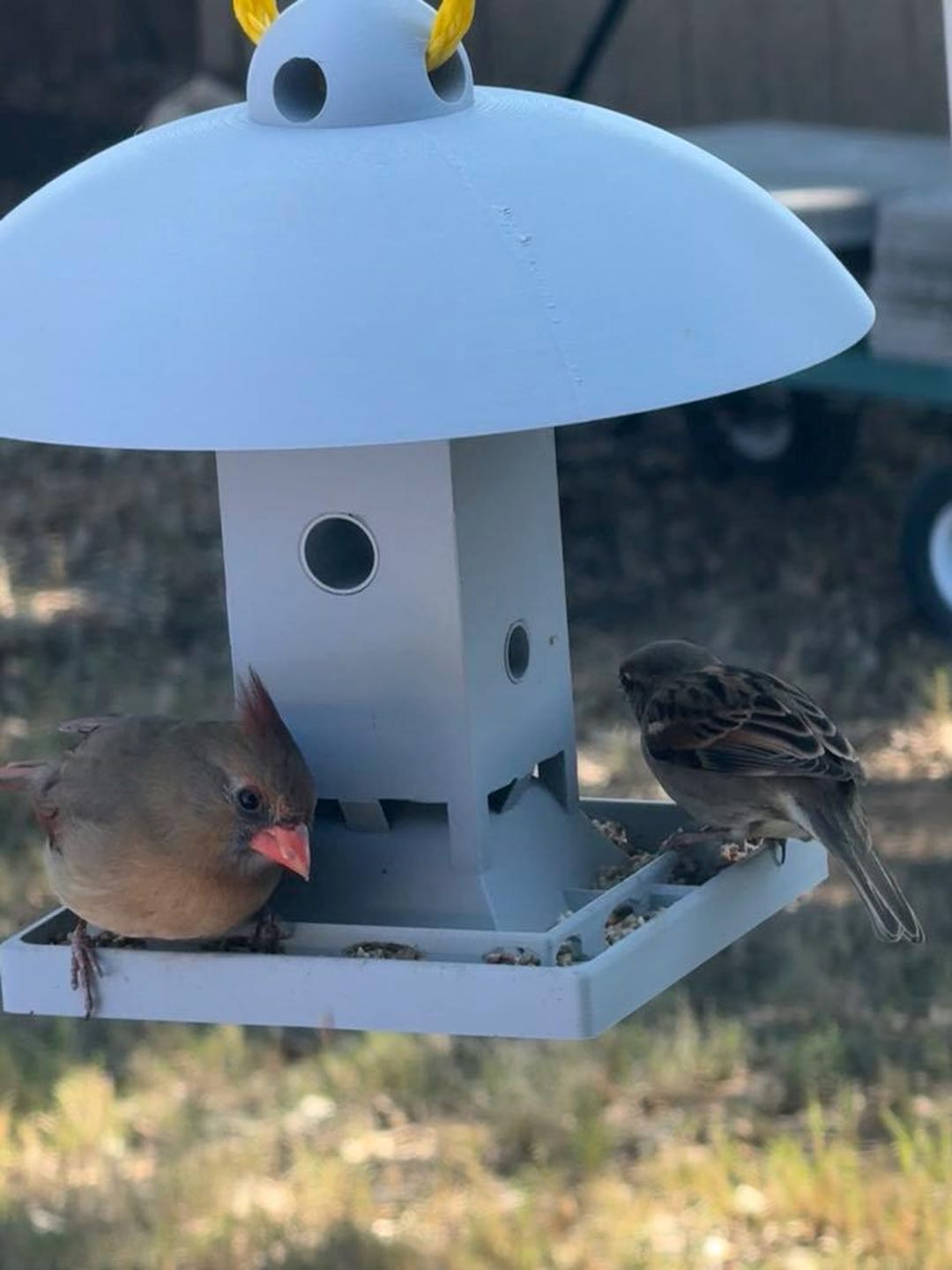 Bird Feeder 3D Model STL Files – Self-refilling, Easy-open, Secure ...