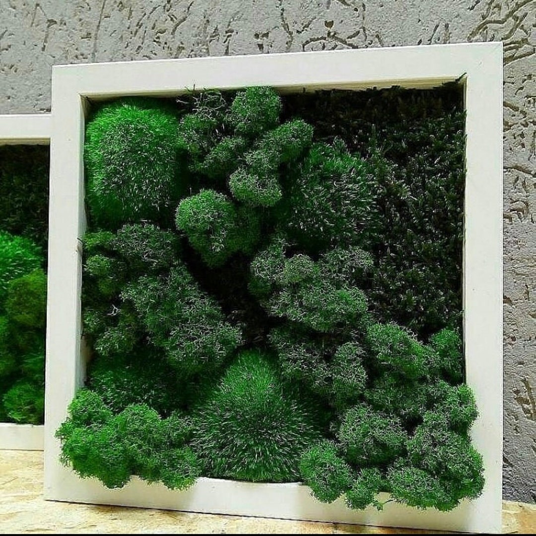 Painting Natural Mural Various Textures Preserved Moss - Etsy