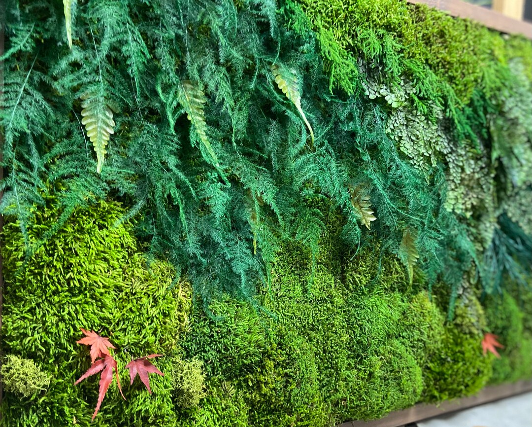 Painting Natural Mural Moss and Preserved Plants - Etsy